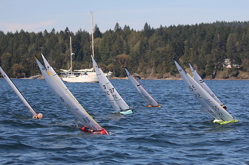 THE AMYA - American Model Yachting Association